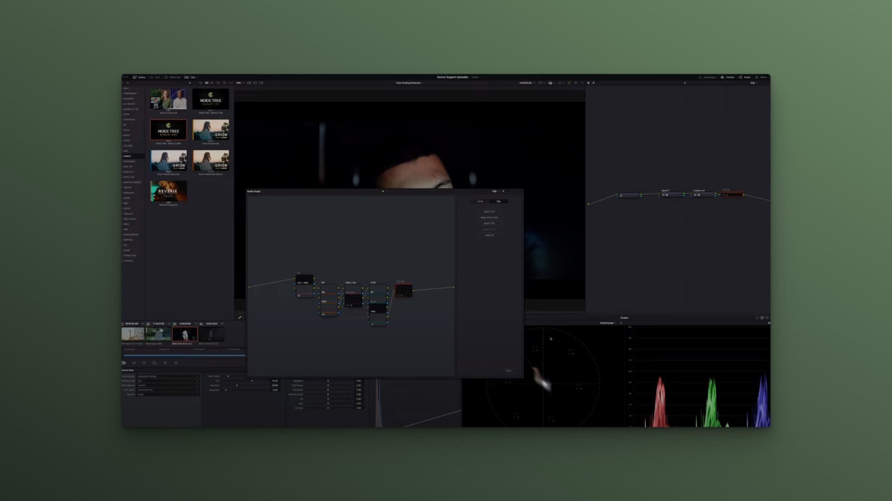 Building Your First Node Tree in DaVinci Resolve - Gamut